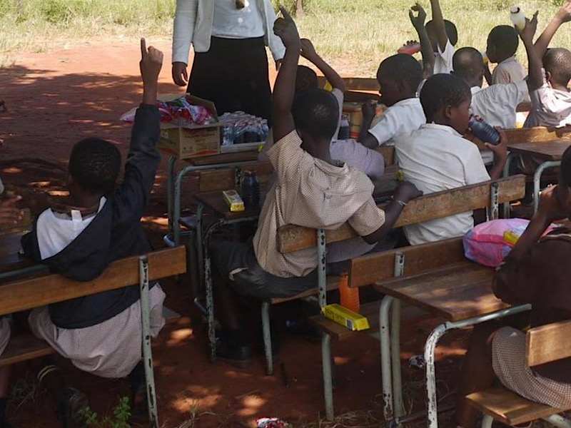 KZN schoolkids take lessons under tree while classrooms crumble ...