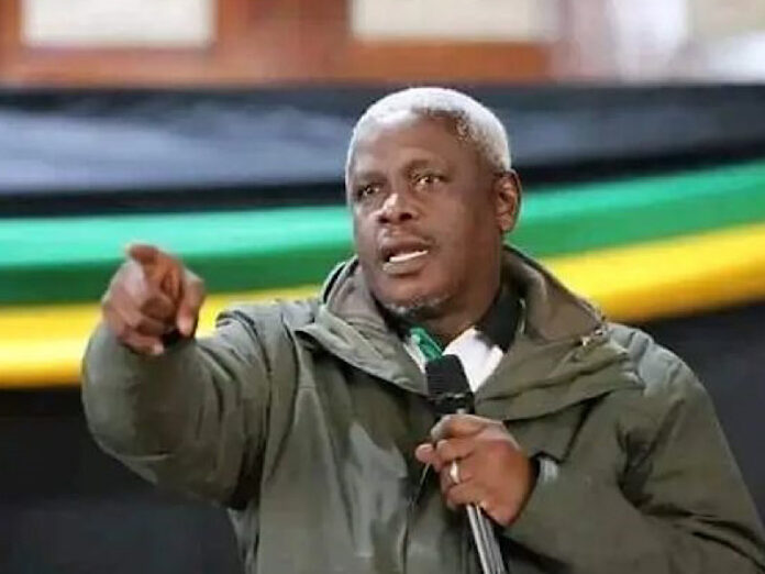 Ramaphosa’s man takes over as Free State ANC chairperson - Scrolla.Africa