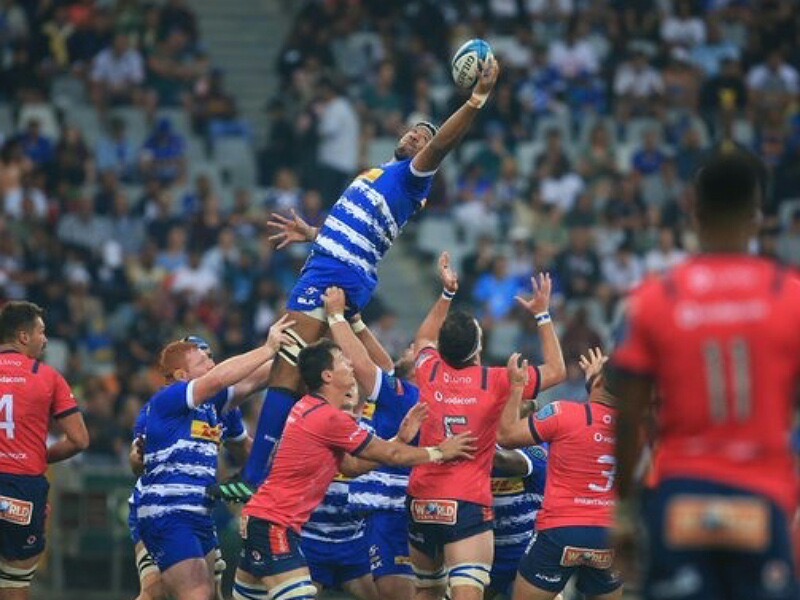 The Sardines do battle against the Pussycats | Scrolla.Africa