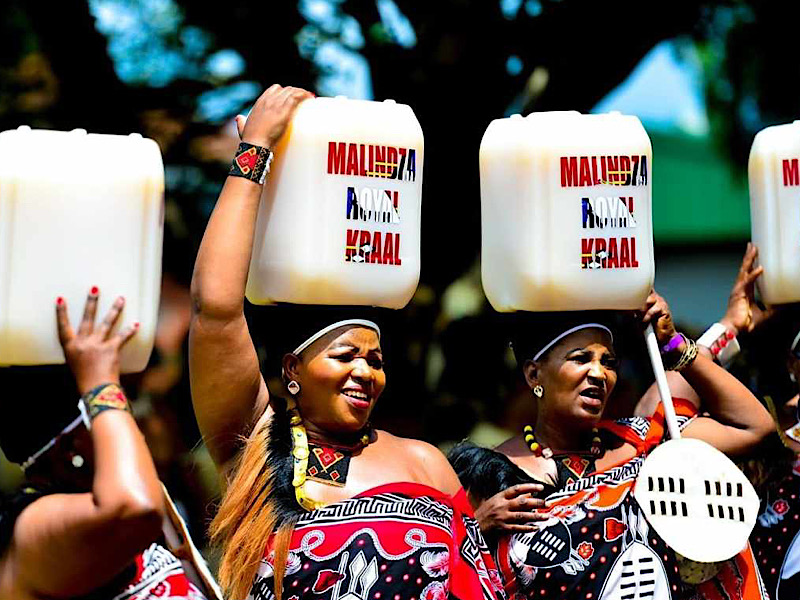 Zulu King calls for mass production of amarula beer - Scrolla.Africa
