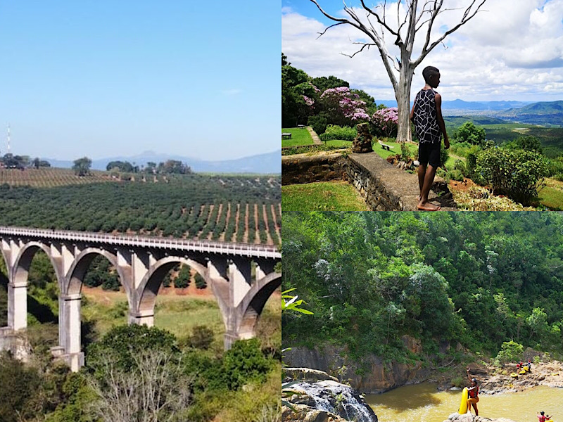 That’s Tzaneen for you! - Scrolla.Africa