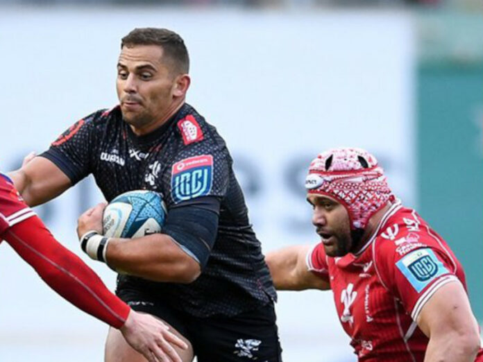 Sharks have their Springbok teeth pulled | Scrolla.Africa