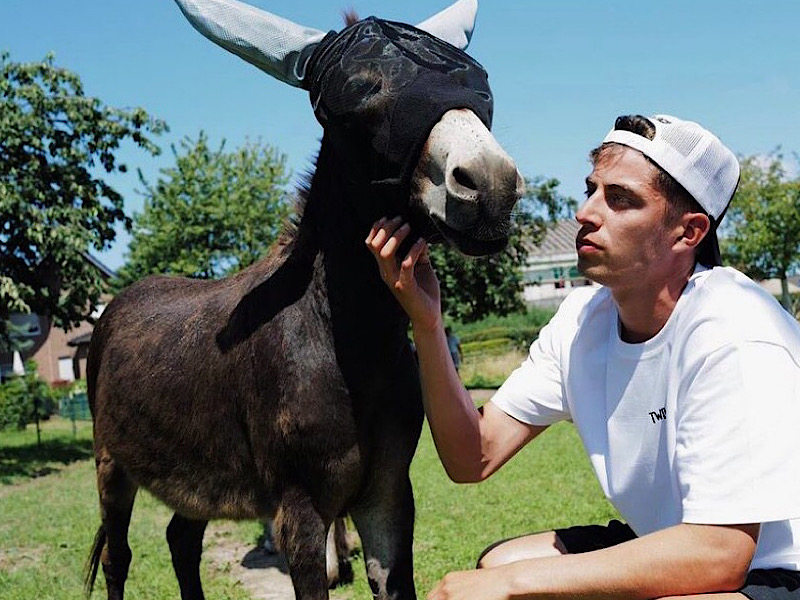 Football has its goats, but Havertz loves donkeys - Scrolla.Africa