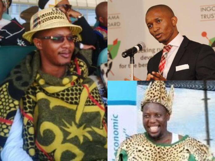 A fresh new look for the Ingonyama Trust | Scrolla.Africa