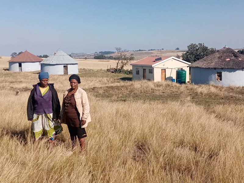 29 years without electricity | Scrolla.Africa