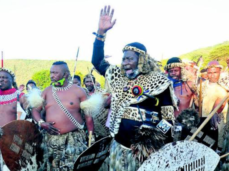 Battle Royale: Feud erupts over Zulu Regiments top job - Scrolla.Africa