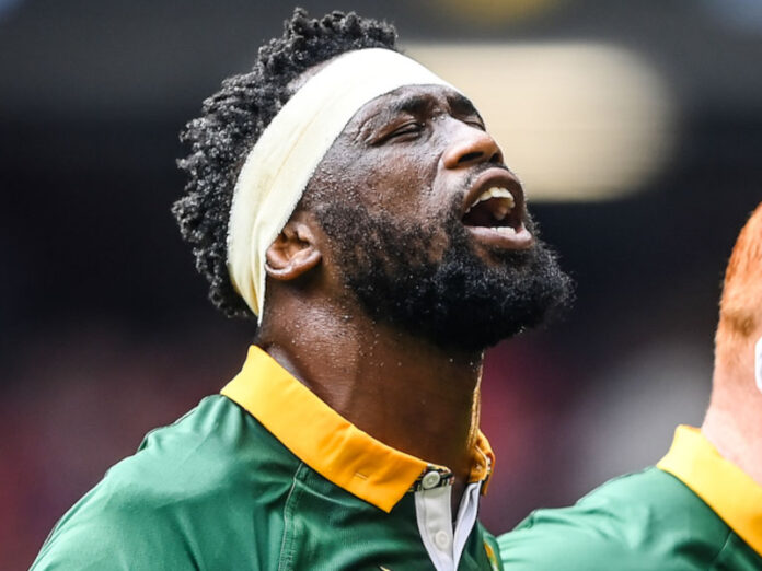 The Springboks have the best ‘management spine’ bar none | Scrolla.Africa