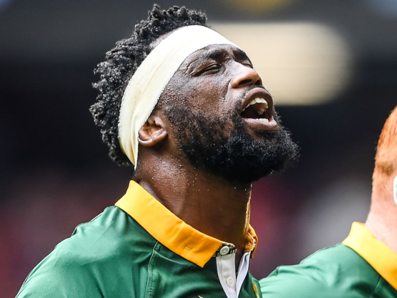 The Springboks have the best ‘management spine’ bar none | Scrolla.Africa