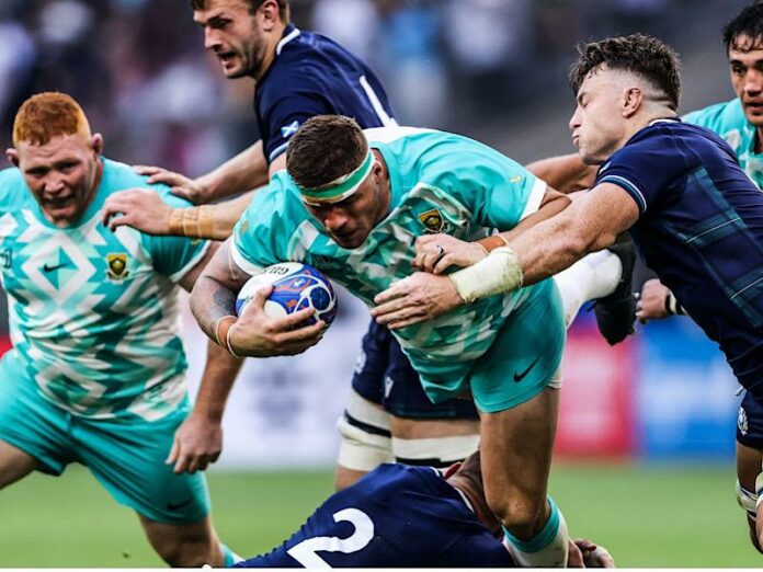 Highs and lows in a rip-roaring week of World Cup rugby - Scrolla.Africa
