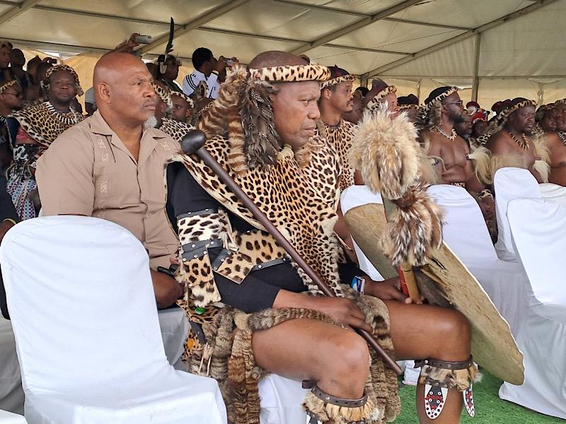 Mkhize plots to checkmate Mashatile with the king - Scrolla.Africa