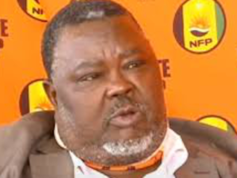 Former Nongoma mayor puts the brakes on NFP conference - Scrolla.Africa
