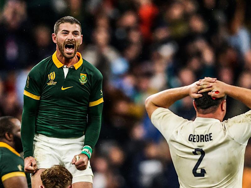 Bookies back the Boks! - Scrolla.Africa
