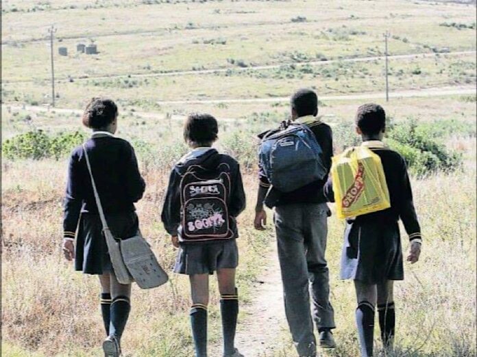 Eastern Cape shelling out millions on ‘ghost scholars’ - Scrolla.Africa