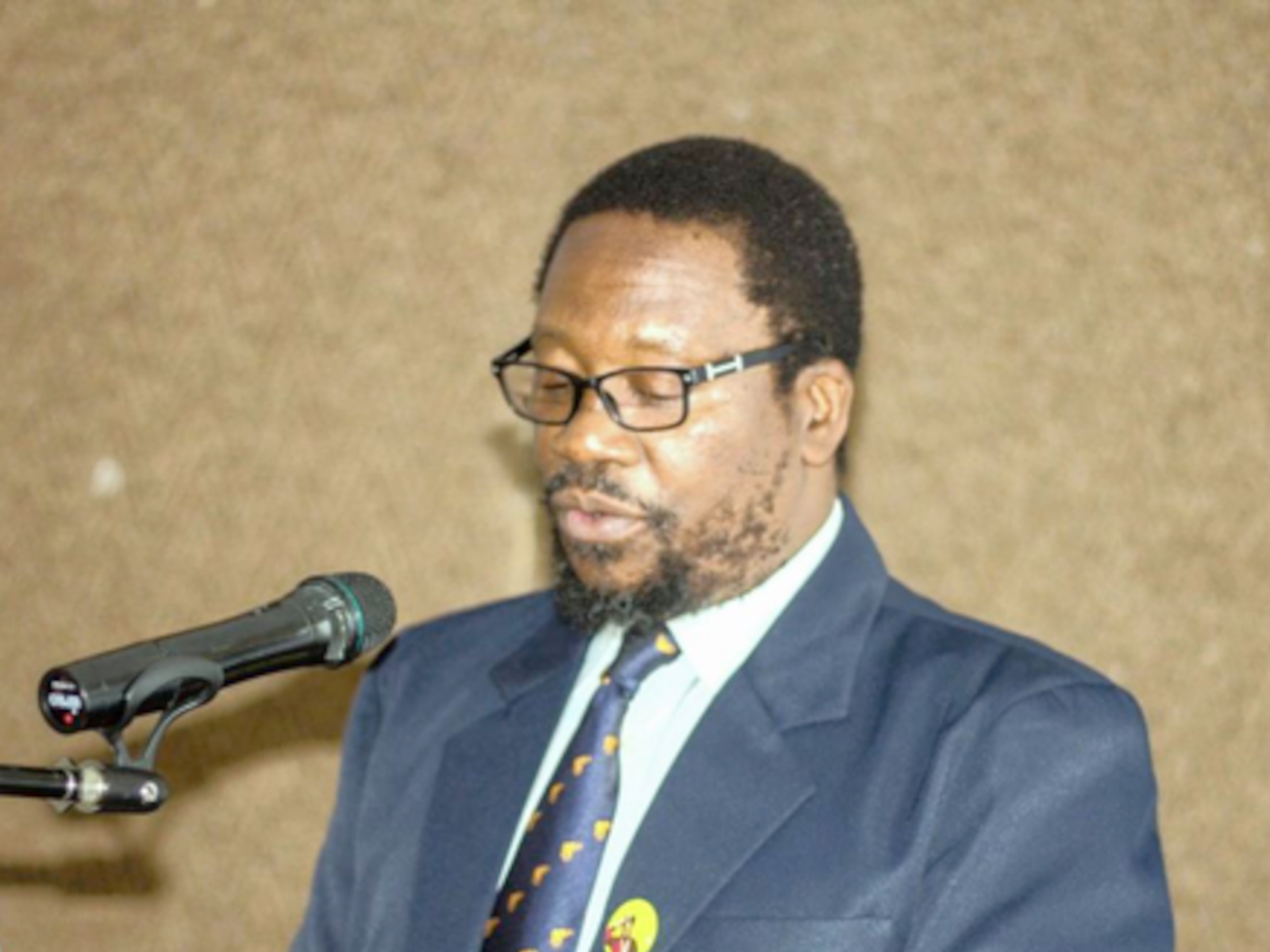 Misuzulu told to apologise for Shaka's cruelty - Scrolla.Africa