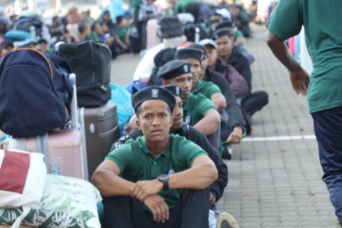 SA army takes over training of ‘Amapanyaza’ | Scrolla.Africa