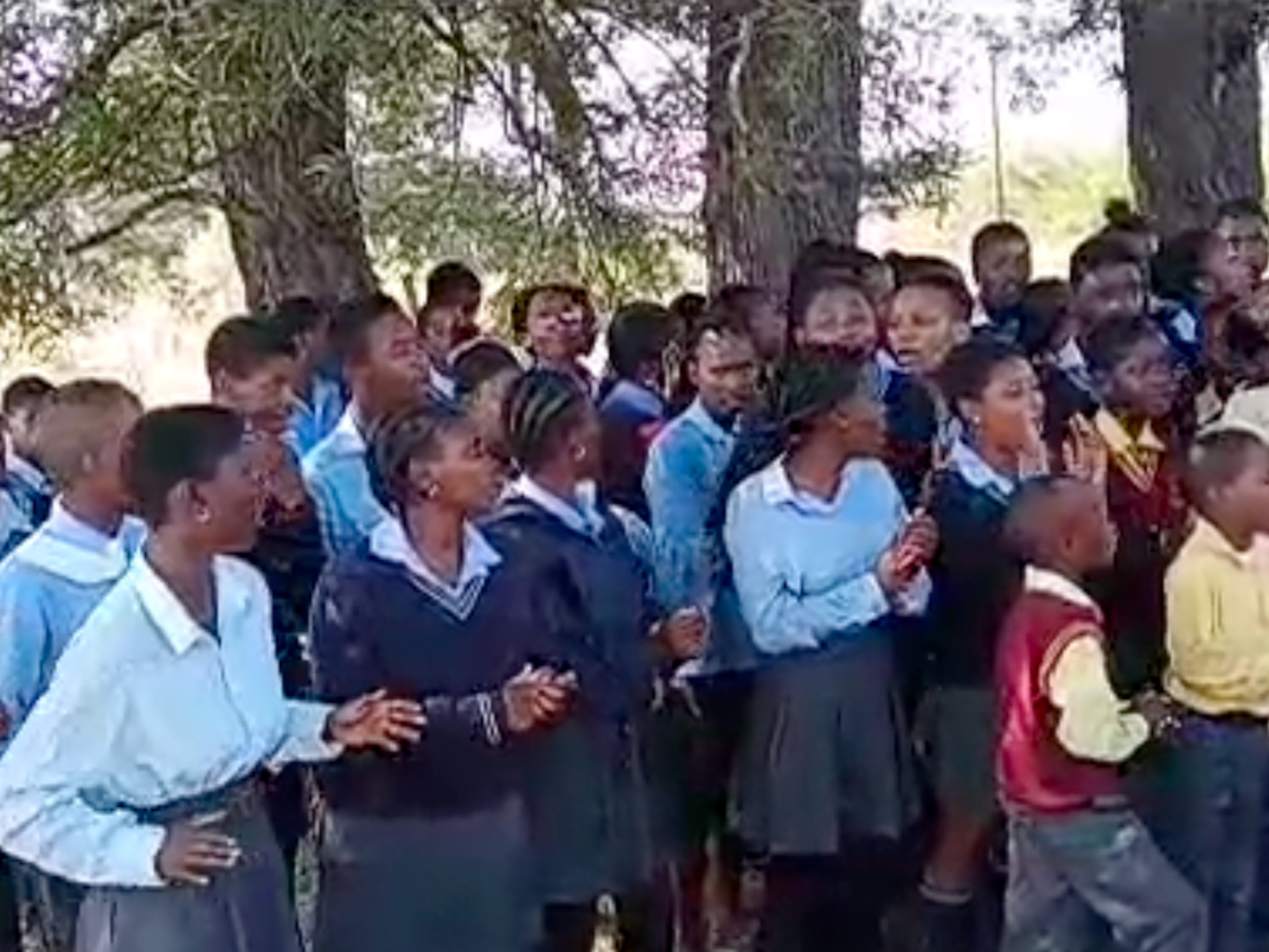 No transport, so children learn under trees - Scrolla.Africa
