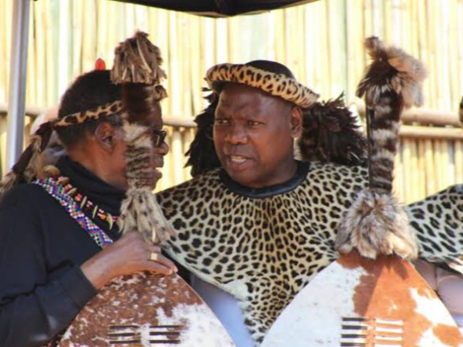 ANC proposed Zweli Mkhize as Zulu prime minister | Scrolla.Africa