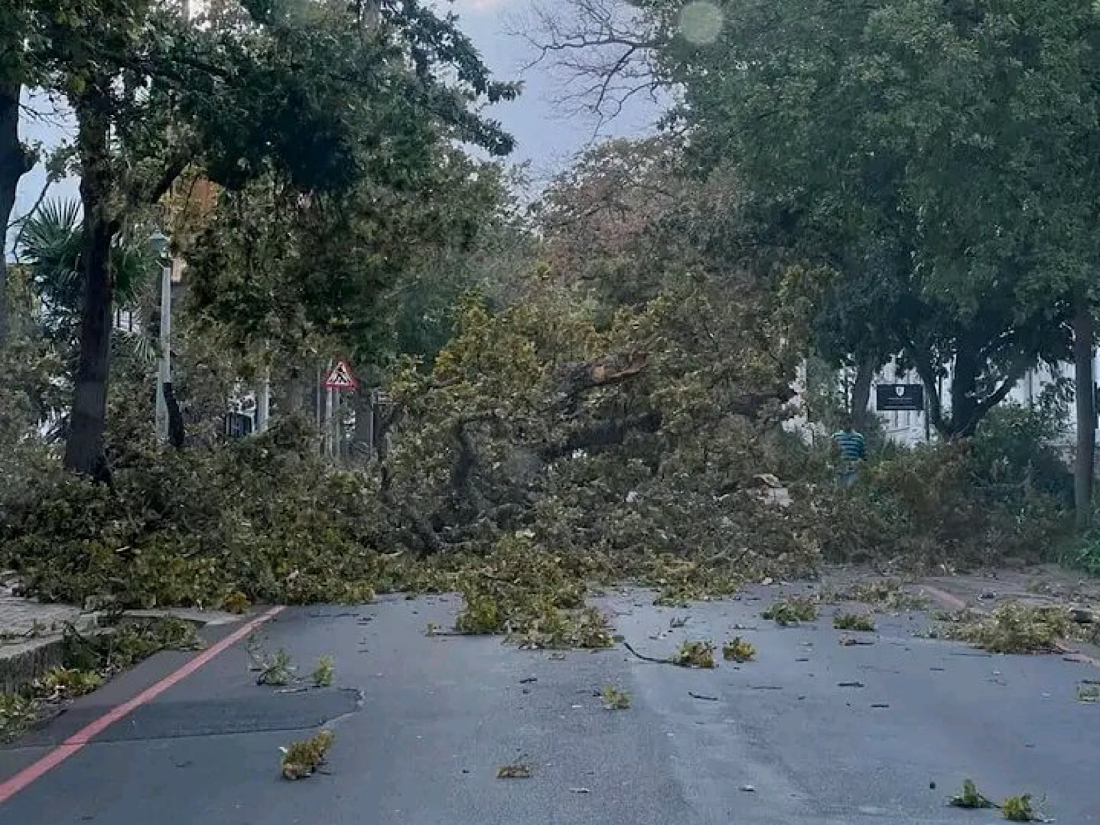 Stormwind en reën saai verwoesting en sluit Kaapse skole - Scrolla.Africa