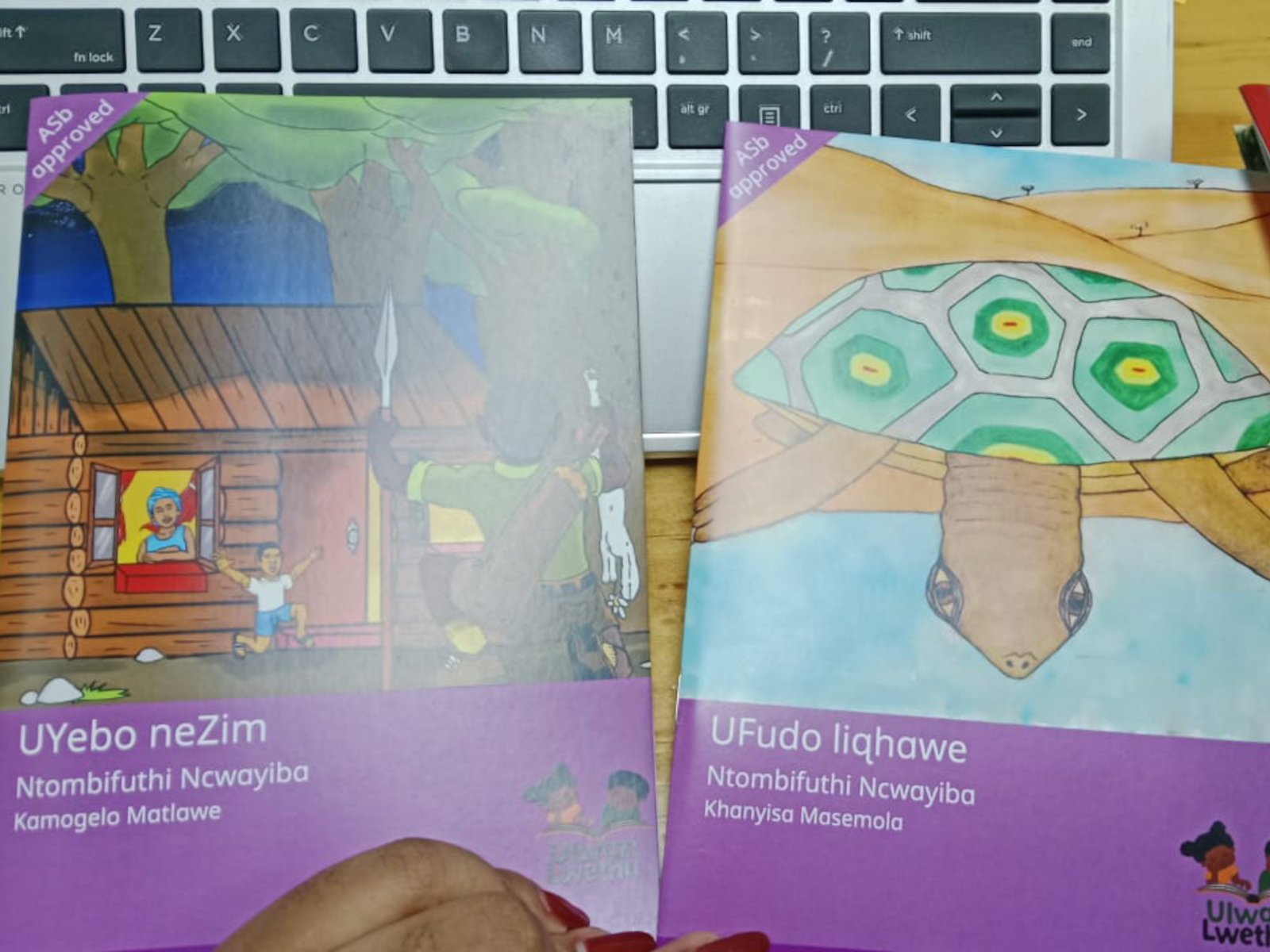 Mother tongue books a boost for AmaMpondo - Scrolla.Africa