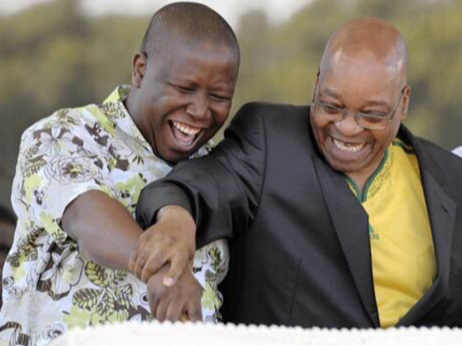 Malema is Zuma’s first choice in KwaZulu-Natal | Scrolla.Africa
