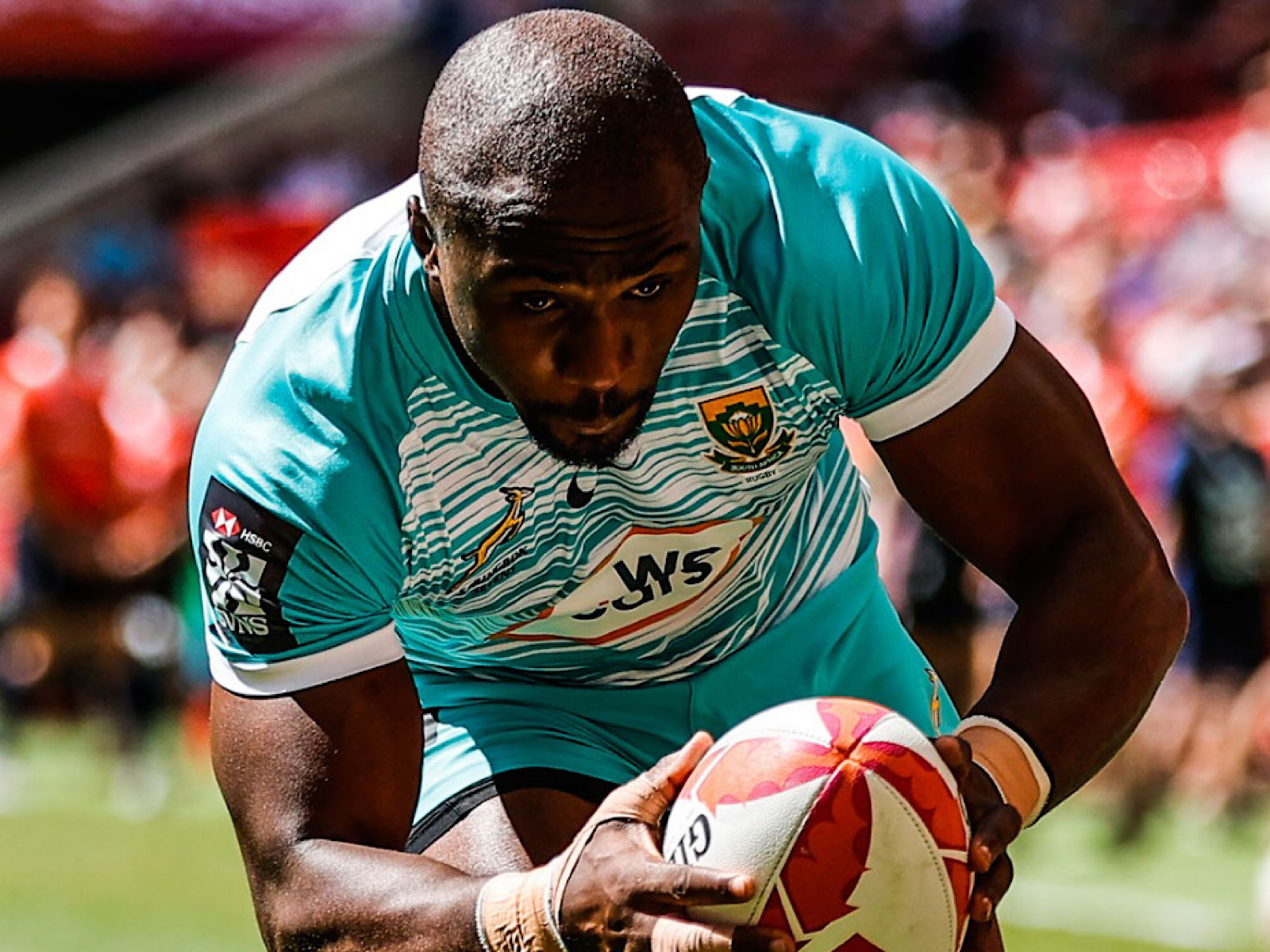 Spluttering Blitzboks to fight for survival | Scrolla.Africa