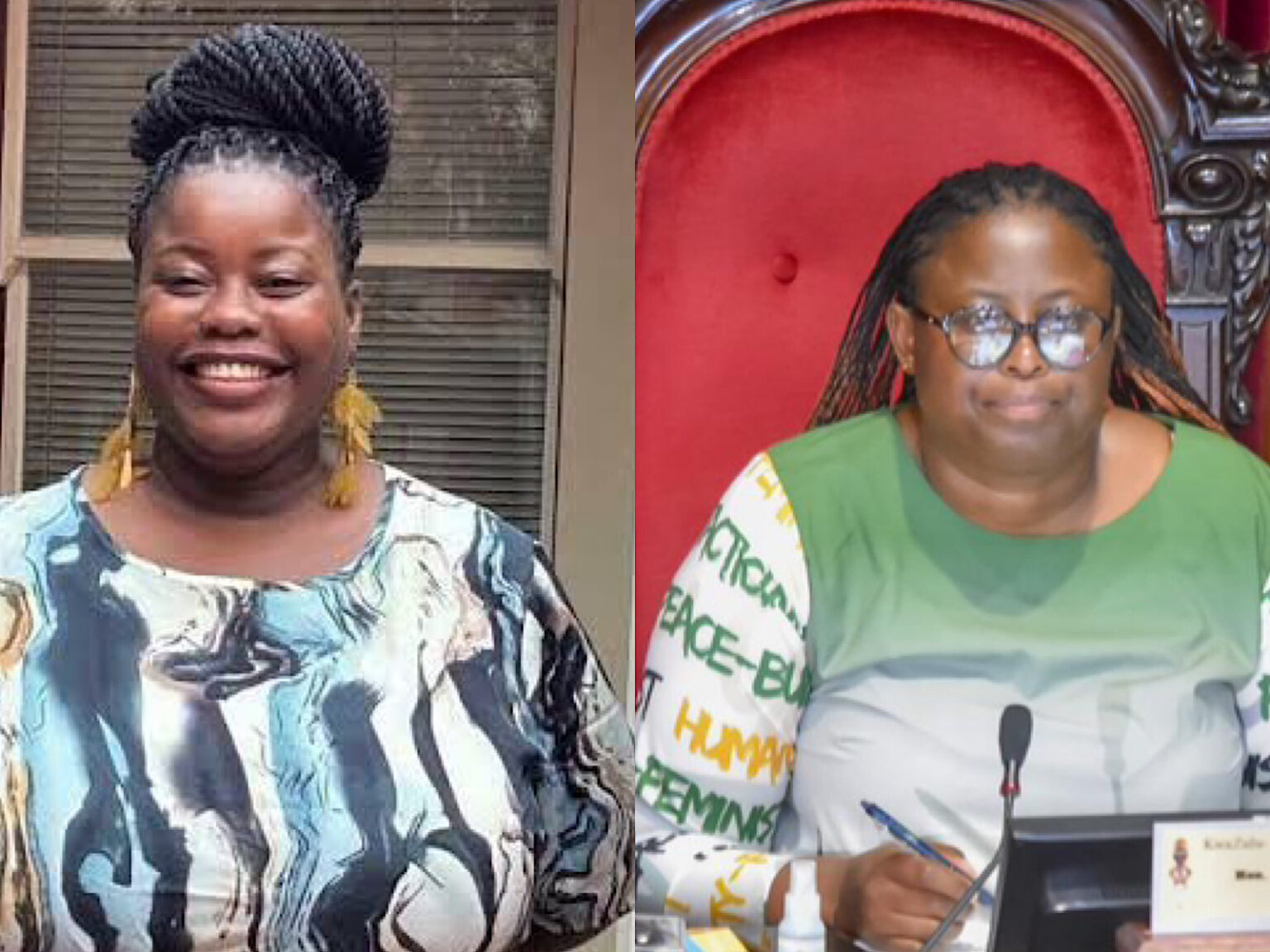 KZN coalition partners outvote MK in legislature | Scrolla.Africa