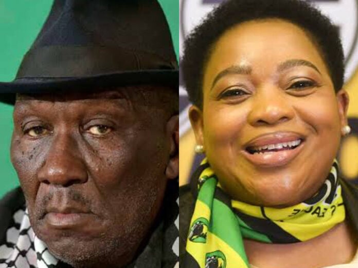 Bheki Cele and Nomsa MaDube-Ncube shortlisted to replace eThekwini ...