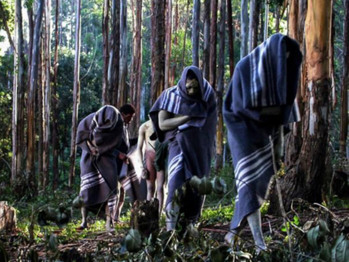 Schoolboys insist on circumcision – and one dies - Scrolla.Africa