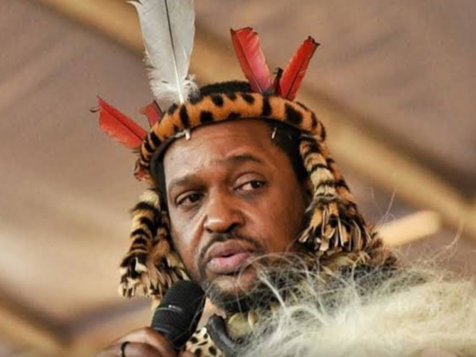 Zulu King to meet land minister over Ingonyama Trust | Scrolla.Africa