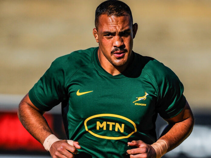 All the Boks selected have a point to prove | Scrolla.Africa