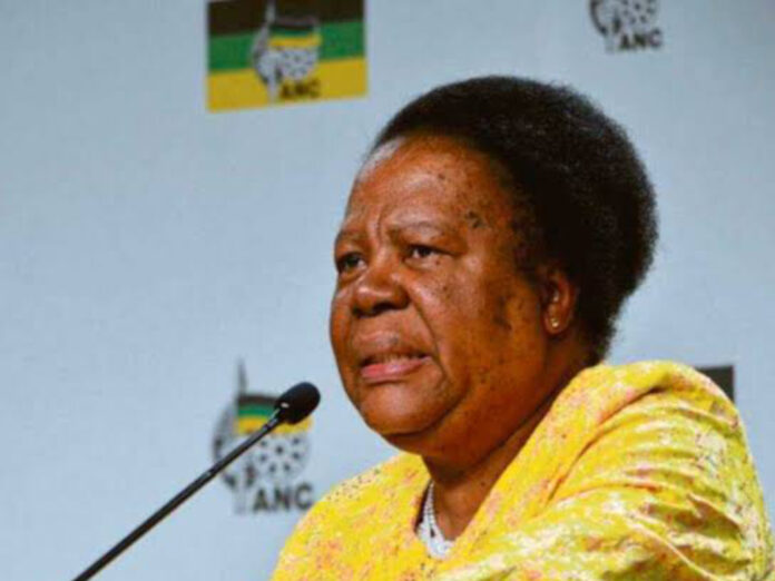 Pandor regrets rejecting deputy president role | Scrolla.Africa