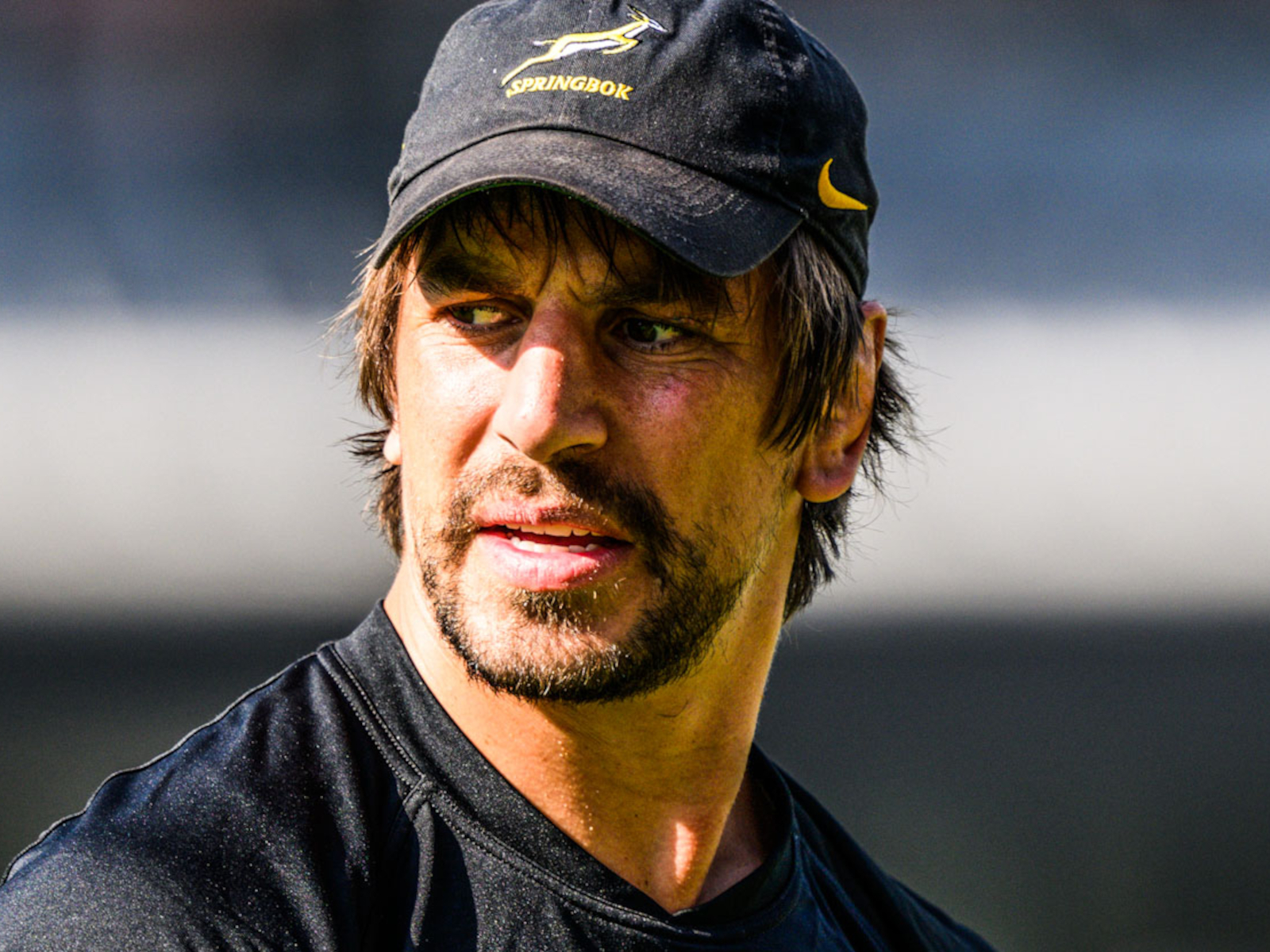 ‘I’m baack!’ Enforcer Eben strengthens Bok bench - Scrolla.Africa