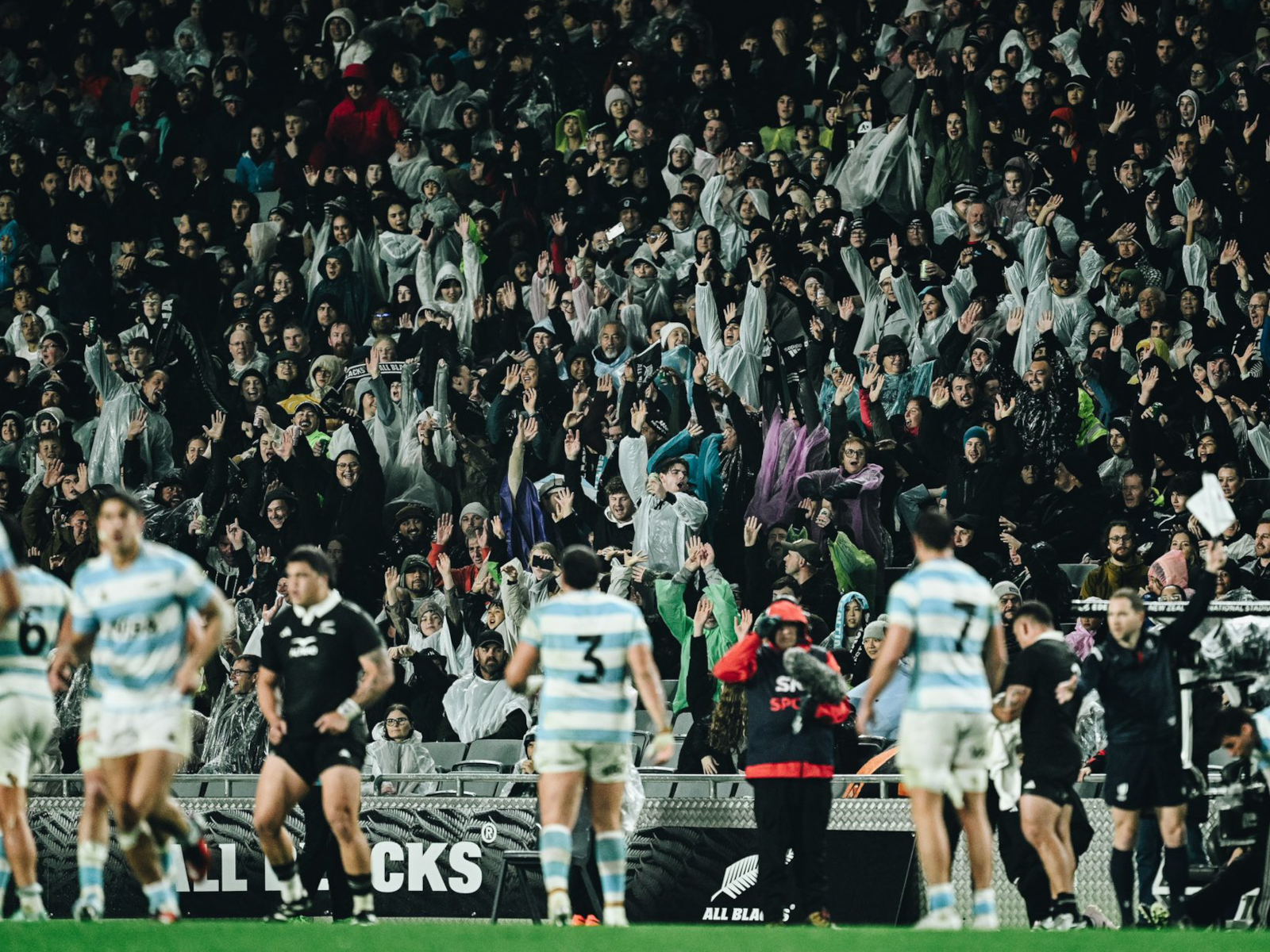 All Blacks fire warning shots at Boks - Scrolla.Africa