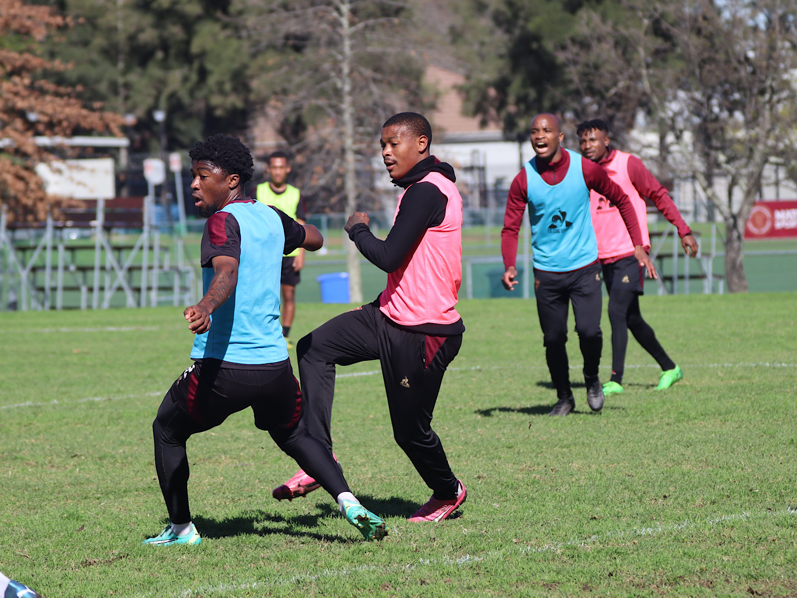 Stellies excited and ready for CAF debut - Scrolla.Africa