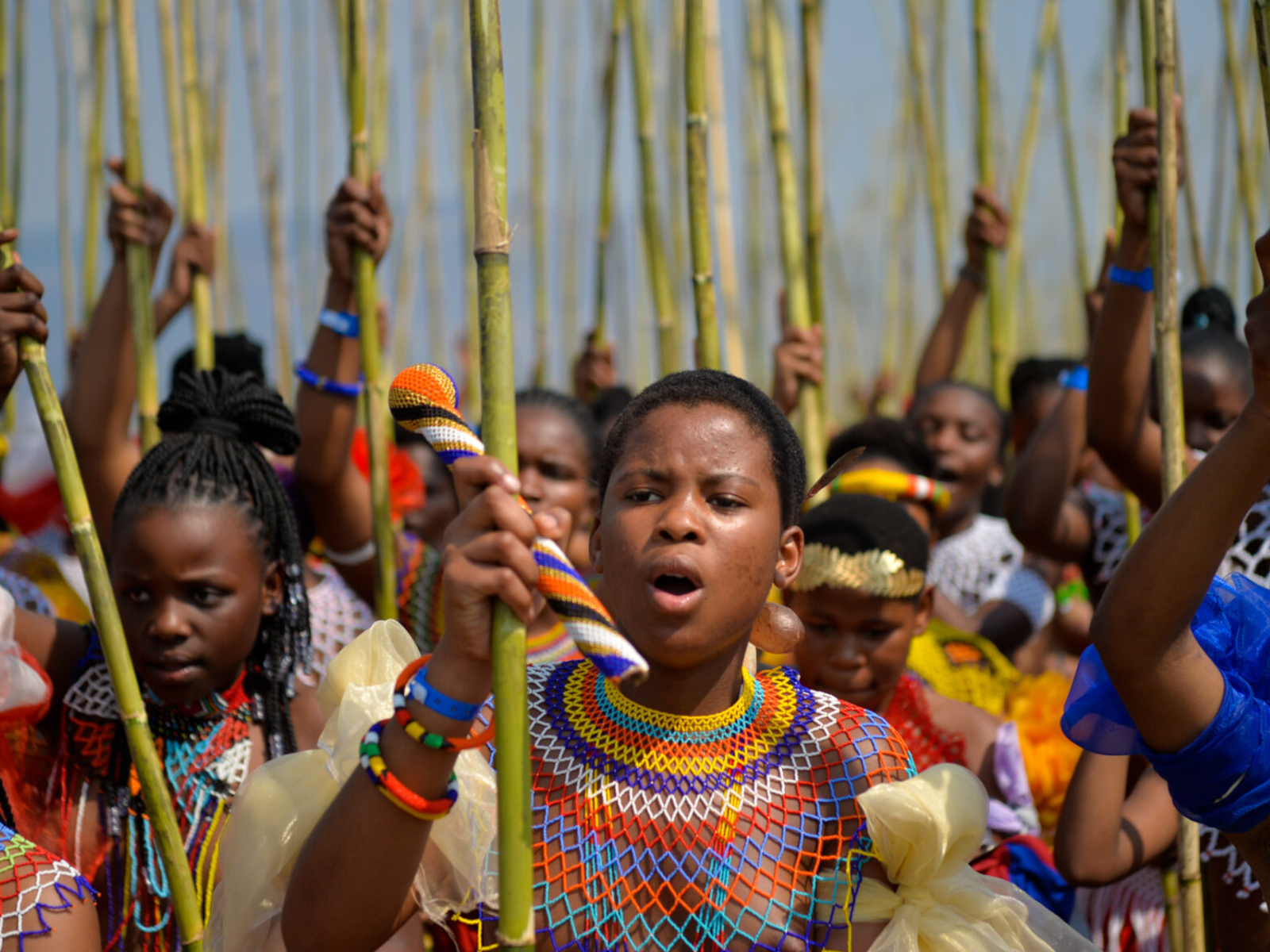 All roads lead to the Zulu Reed Dance - Scrolla.Africa
