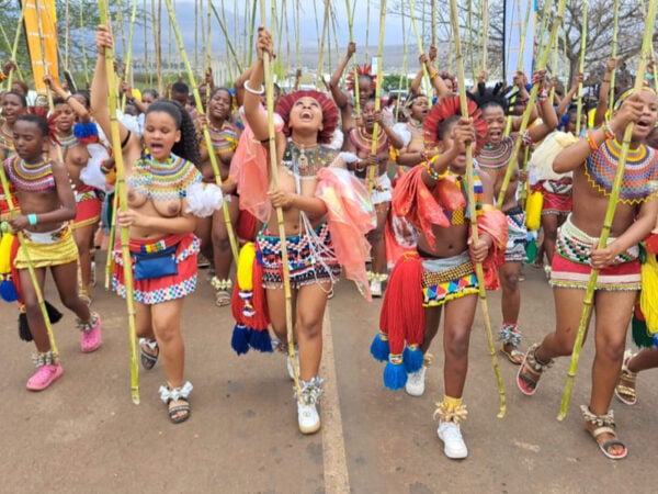Zulu nation celebrates 40 years of Reed Dance - Scrolla.Africa
