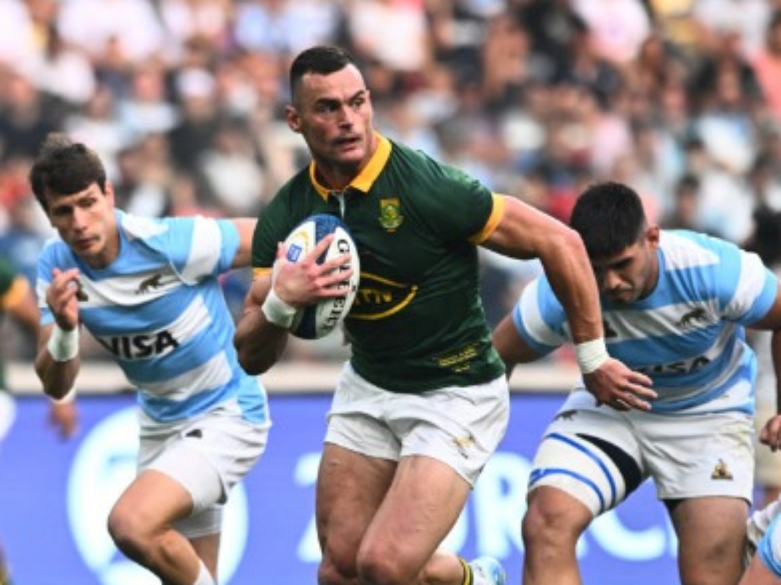 Argentina spoils the Springbok victory parade | Scrolla.Africa
