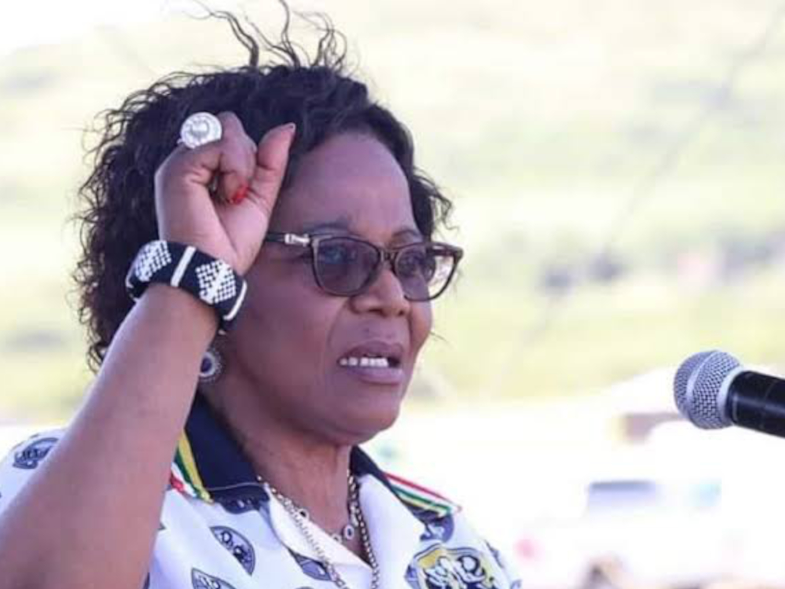 Former IFP leader's daughter steps in to fix party divisions - Scrolla ...
