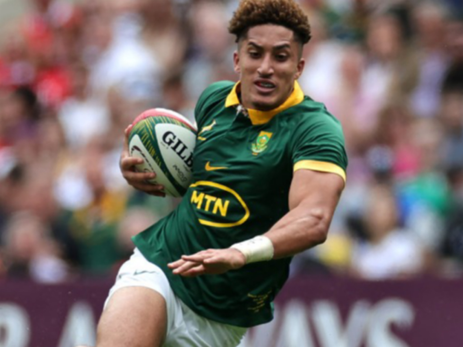 Is Rassie inspired or just crazy? - Scrolla.Africa
