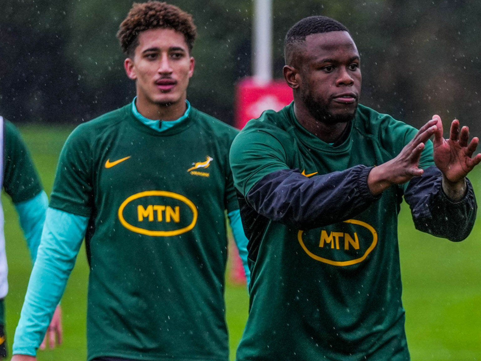 One final feast for Springbok fans - Scrolla.Africa
