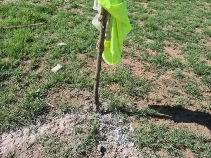 Another ‘sticky’ situation in ABC Motsepe League game | Scrolla.Africa