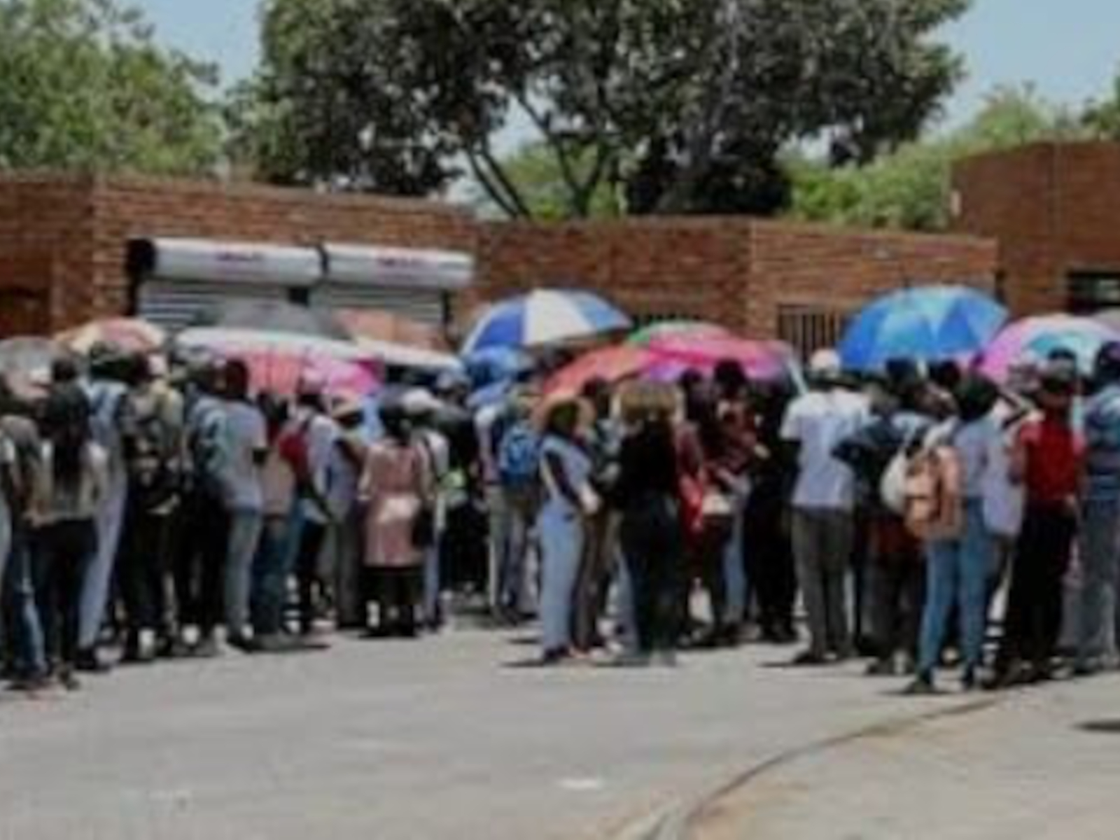 No walk-in applications at TUT this year - Scrolla.Africa