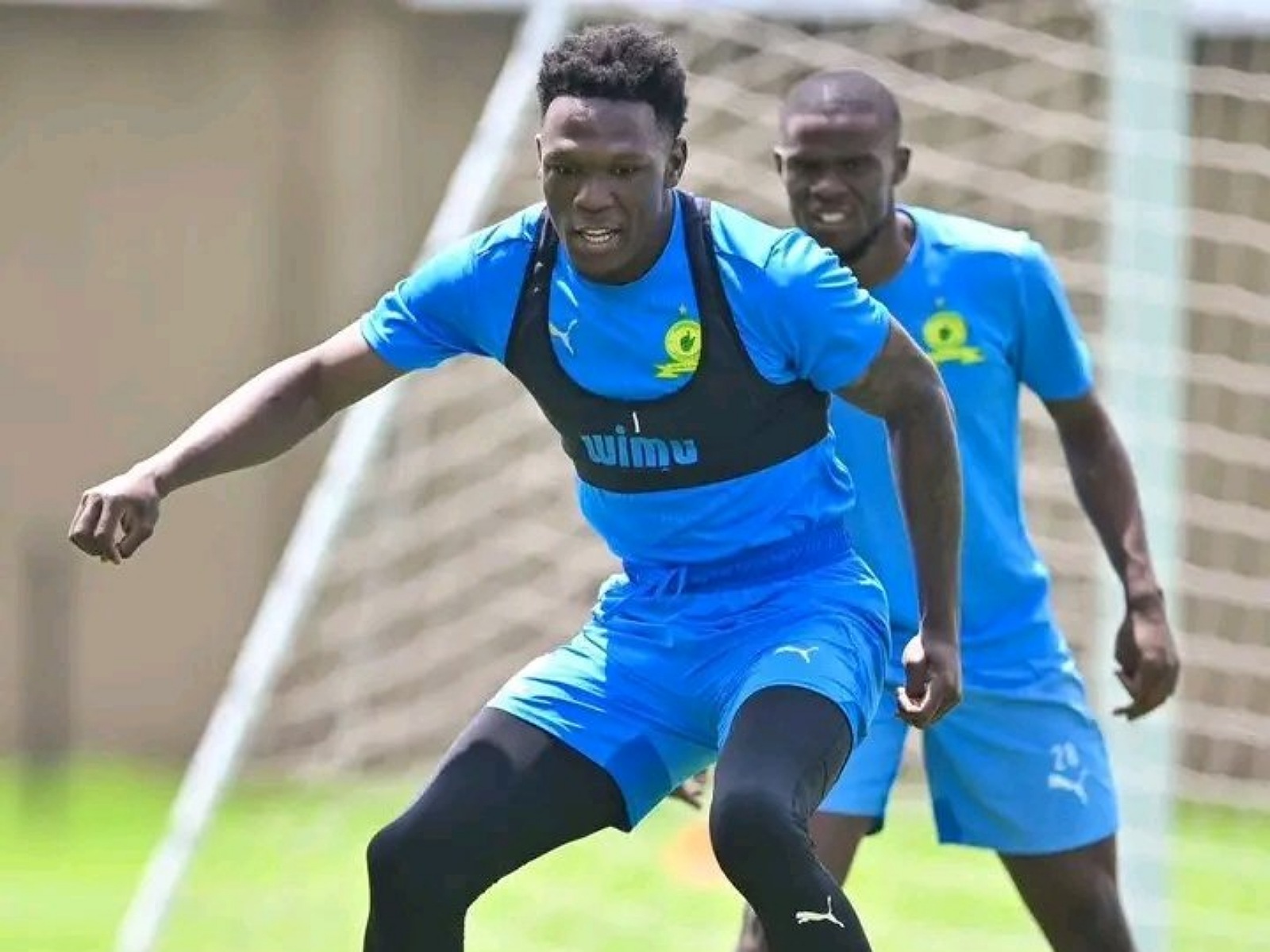 Mothiba ‘not expected to contribute’ at Sundowns — Cardoso | Scrolla.Africa