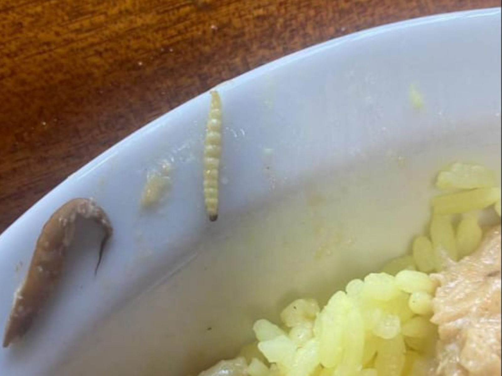 Rotten food served at top PMB girls' school - Scrolla.Africa