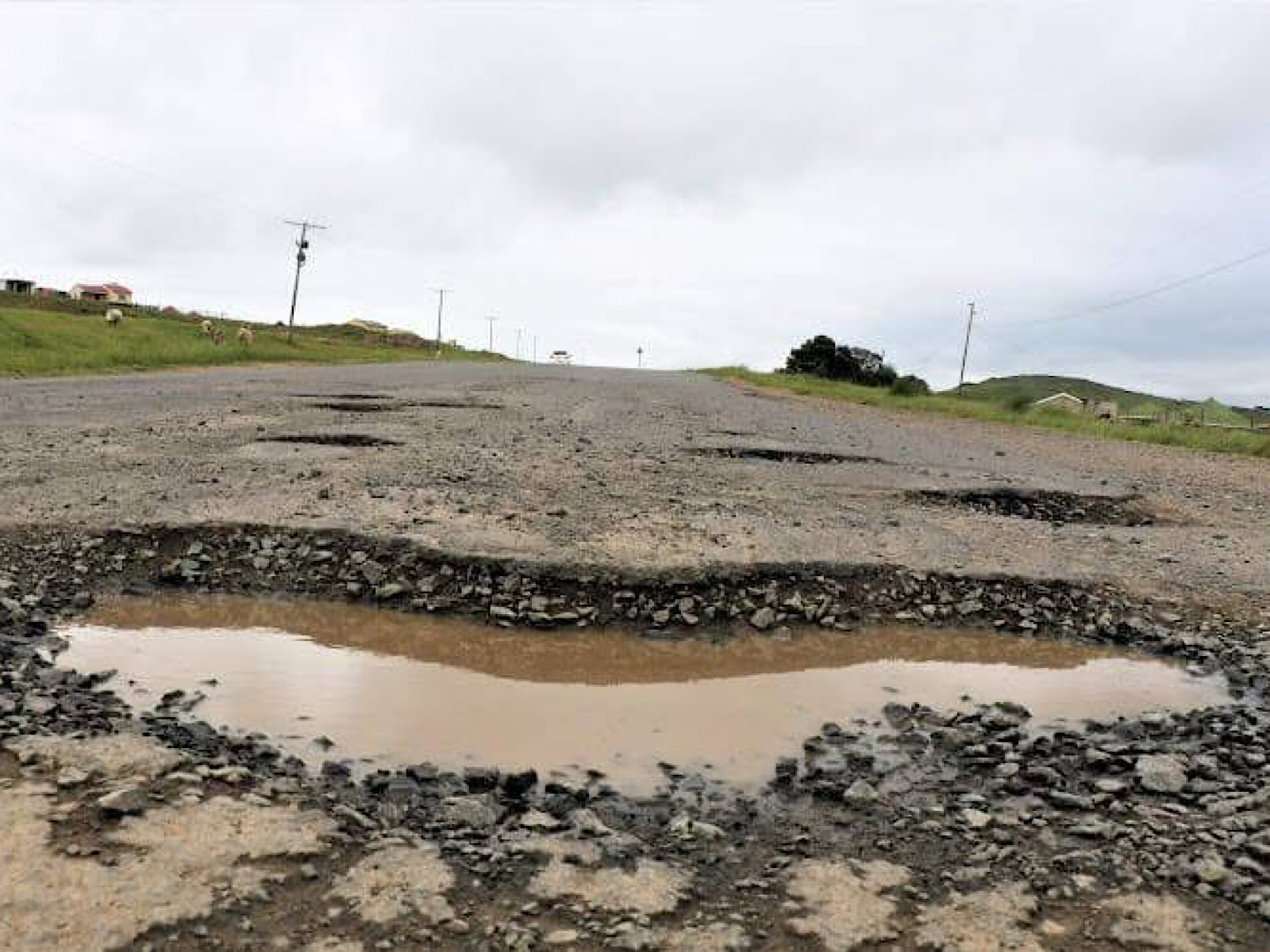 Elliotdale residents protest for proper roads - Scrolla.Africa