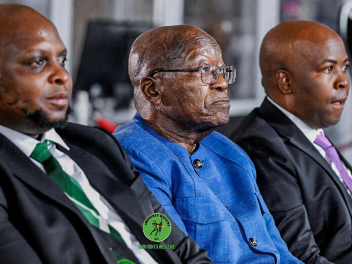 IFP, ANC win KZN and Eastern Cape by-elections as MK support drops ...