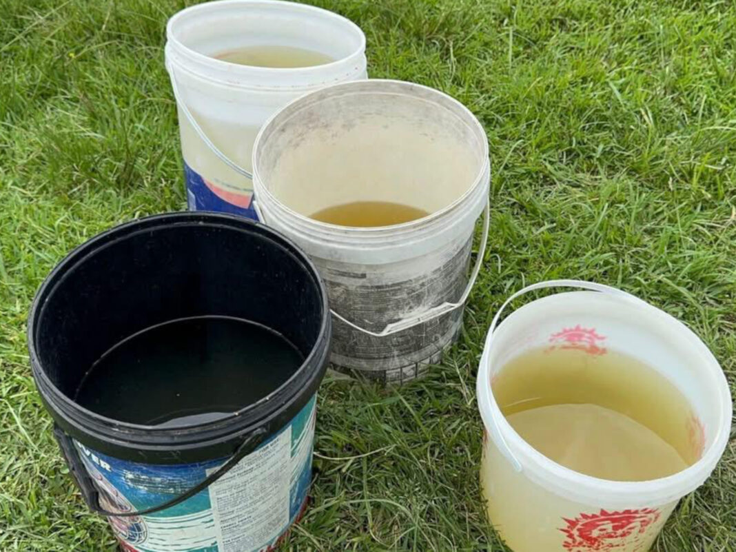 Three generations drink dirty dam water | Scrolla.Africa