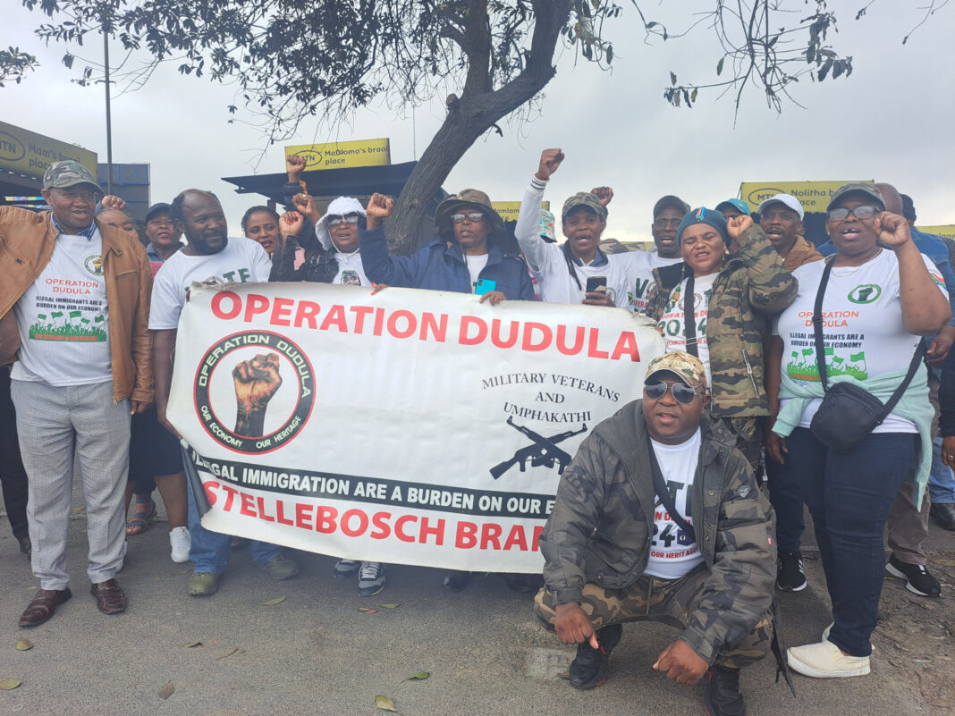 ‘We want our place in parliament,’ say Operation Dudula members ...