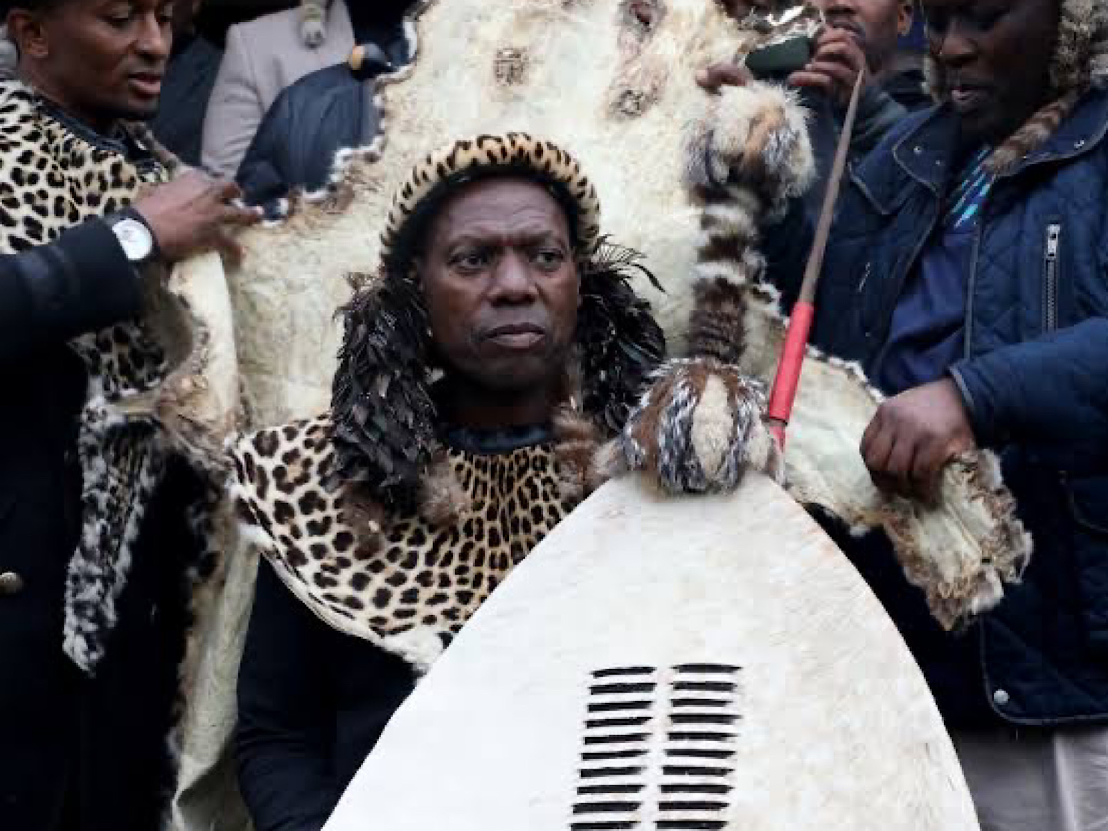 Zulu Royal family block Dr Zweli Mkhize from intervening in King saga ...