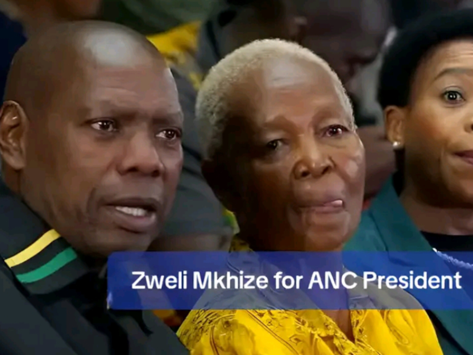 ‘Shocked’ ANC denies Zweli Mkhize presidential campaign claims ...